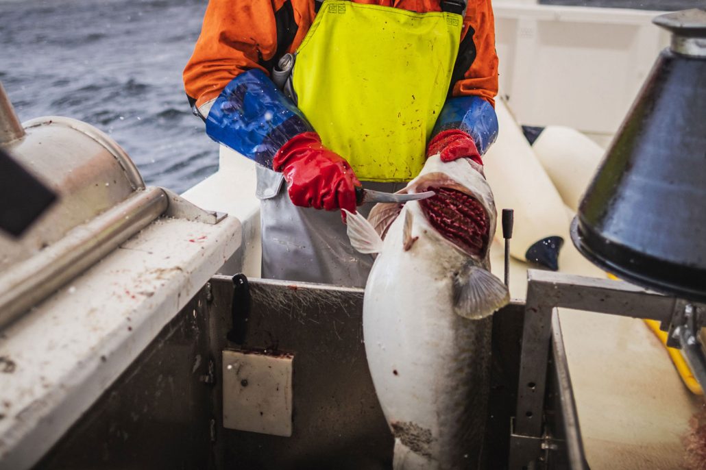 Professional Development Courses for Fishermen in Cornwall